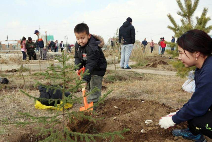 Mongolia plants over 10 mln trees in 1 year to combat desertification