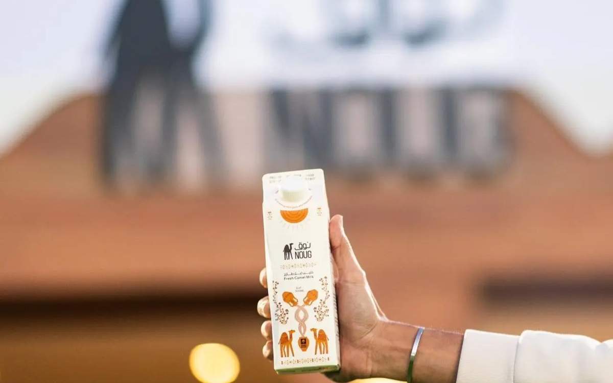 Camel milk for pilgrims: Saudi Arabia highlights heritage in Year of ...