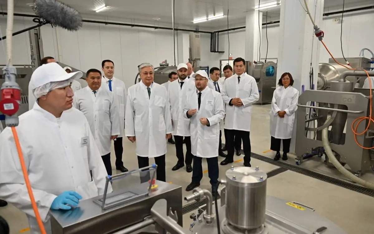 Head of State familiarizes with processed food production in Akmola region