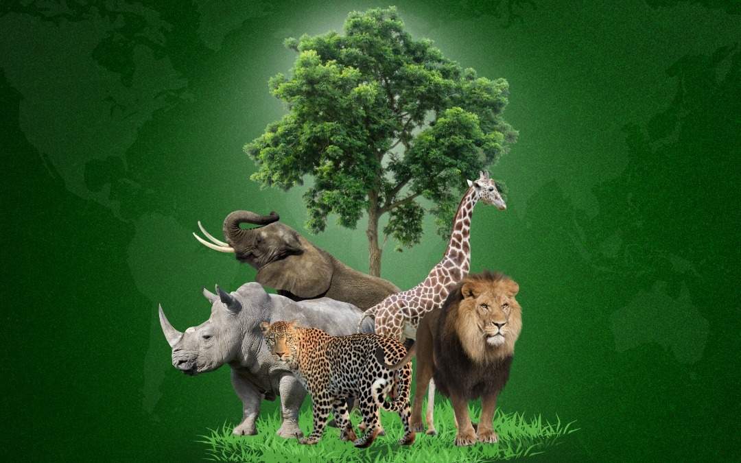 Critical State Of Biodiversity Key Findings From Wwf Living Planet