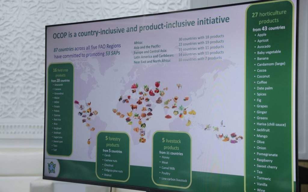Uzbekistan promotes 'One Country One Priority Product' (OCOP) initiative