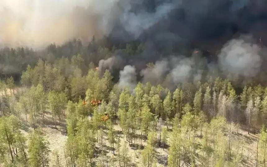 Early detection system helps to reduce area of wildfires in Kazakhstan