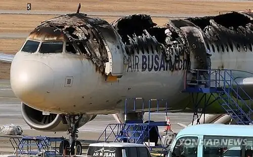 French team joins probe into Air Busan plane fire accident in South Korea