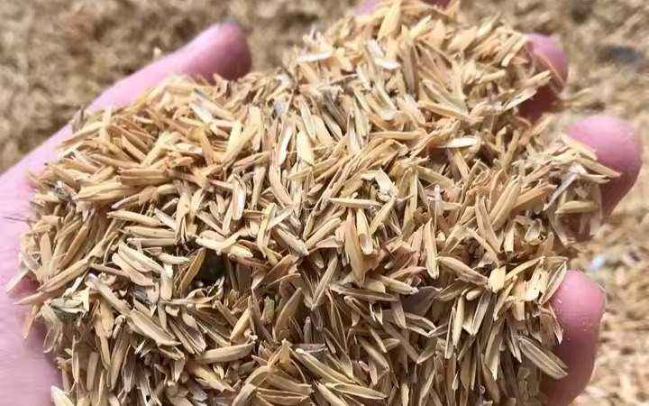 Как используется рисовая шелуха в Кызылординской области