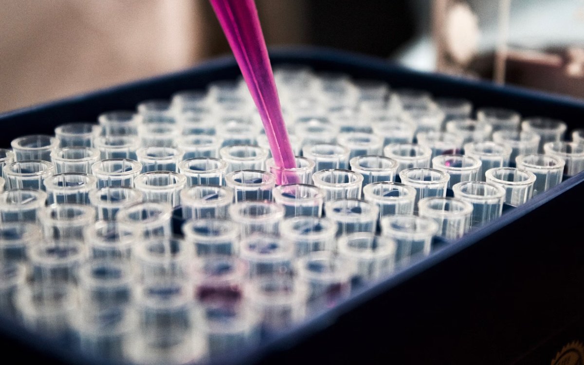 Researchers in Australia find potential treatment to bypass resistance ...