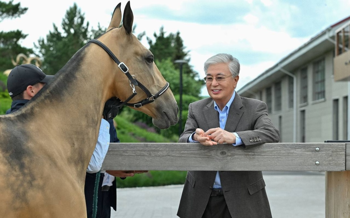 Aqniyet and Borte: Kazakh President names newborn Akhal-Teke foals